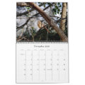 Cardinal Calendar | Zazzle