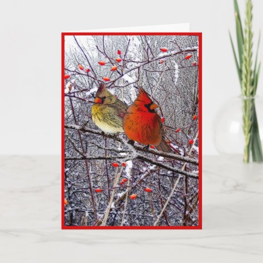 Cardinal Christmas Holiday Card | Zazzle.com