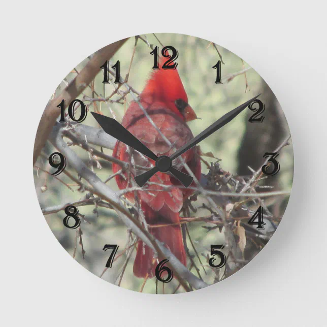 Cardinal Clock | Zazzle