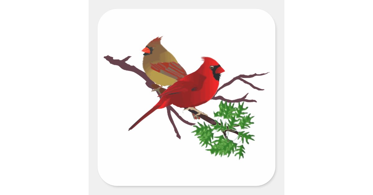 Cardinal Couple on a Branch Square Sticker | Zazzle