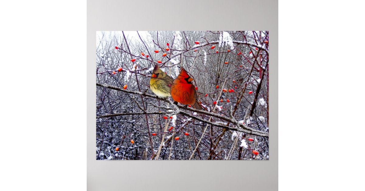 Cardinal Forest Poster | Zazzle