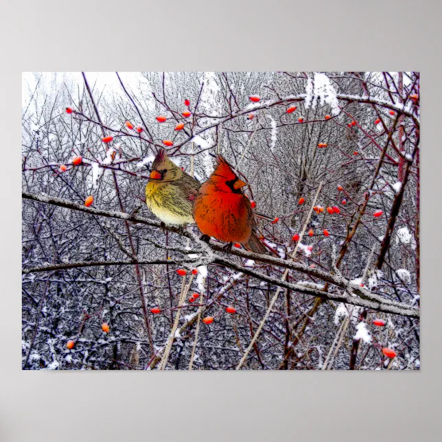 Cardinal Forest Poster | Zazzle