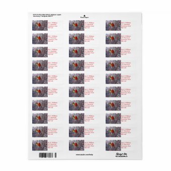 Cardinal Forest Return Address Label | Zazzle