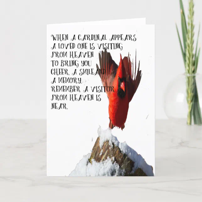 Cardinal from Heaven Card | Zazzle
