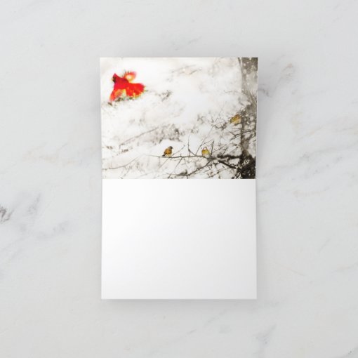 Cardinal Greeting cards, Bird greeting cards | Zazzle
