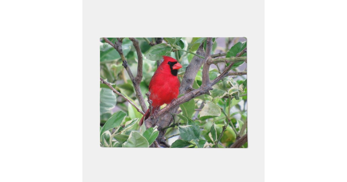 Cardinal in a Lemon Tree - Doormat | Zazzle