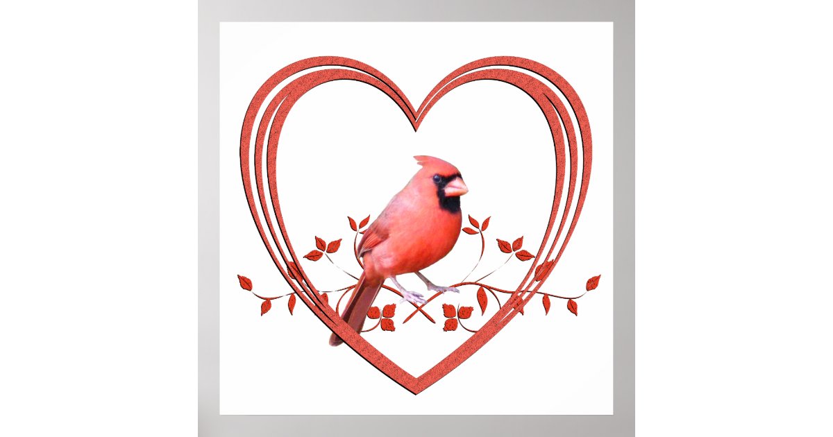 Cardinal in Heart Poster | Zazzle