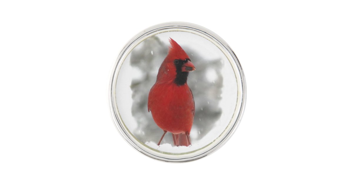 Cardinal in Snow Lapel Pin | Zazzle