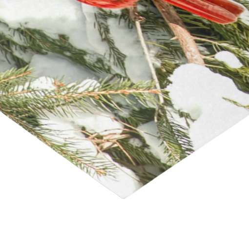 Cardinal In Winter Pine Tree Snow Tissue Paper | Zazzle