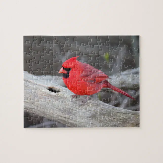 Cardinal in Woods Jigsaw Puzzle | Zazzle