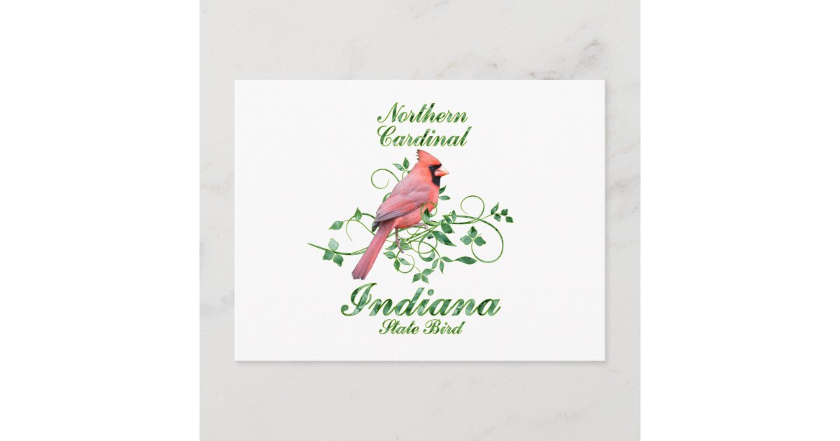 Cardinal Indiana State Bird Postcard | Zazzle