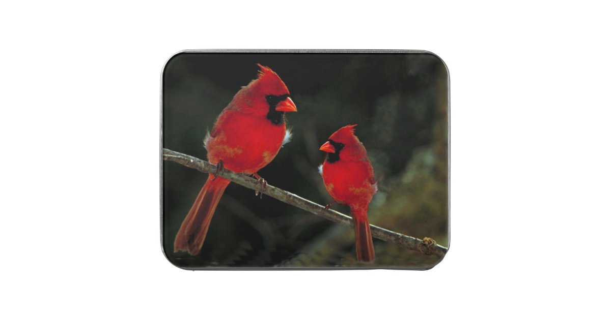 CARDINAL JIGSAW PUZZLE | Zazzle