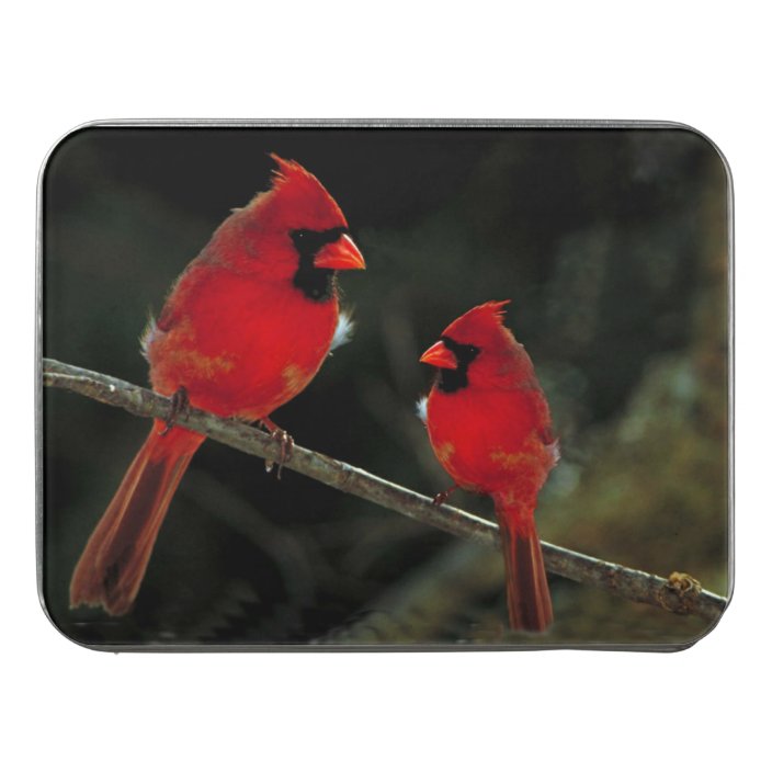 CARDINAL JIGSAW PUZZLE | Zazzle.com