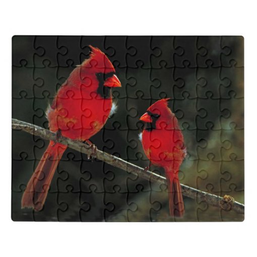 CARDINAL JIGSAW PUZZLE | Zazzle
