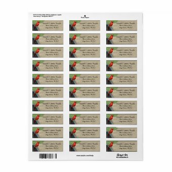 CARDINAL LABEL | Zazzle