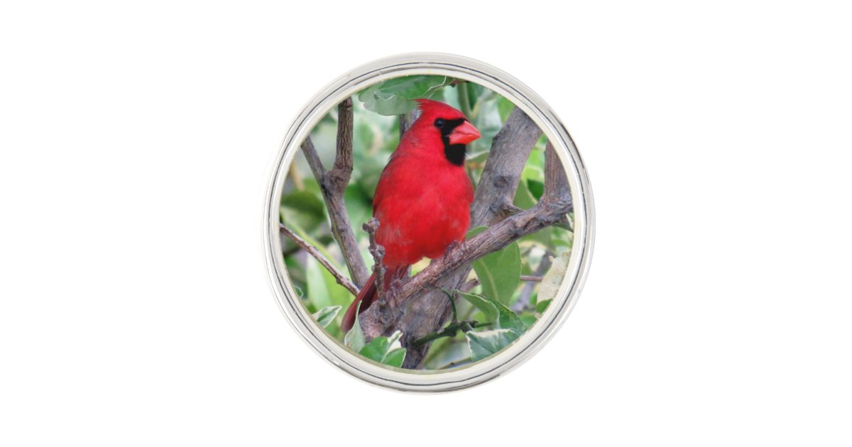 Cardinal Lapel Pin | Zazzle