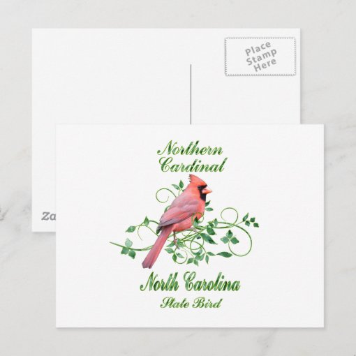 Cardinal North Carolina State Bird Postcard | Zazzle