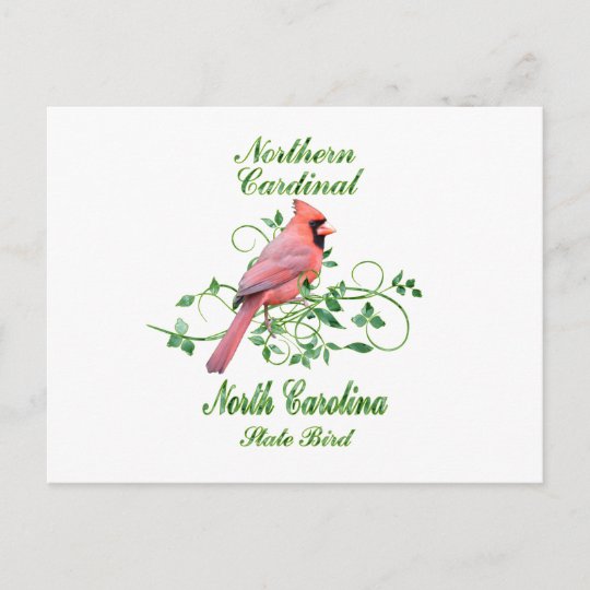 Cardinal North Carolina State Bird Postcard | Zazzle.com