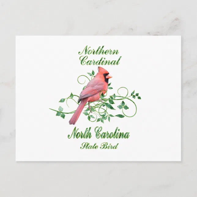 Cardinal North Carolina State Bird Postcard | Zazzle