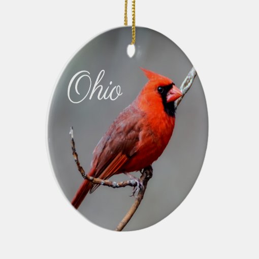 Cardinal Ohio Ornament | Zazzle