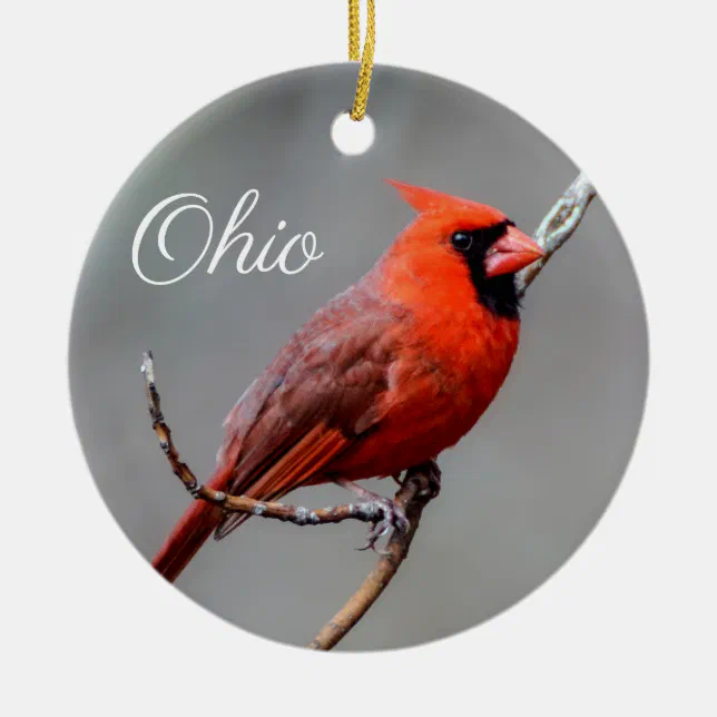 Cardinal Ohio Ornament | Zazzle