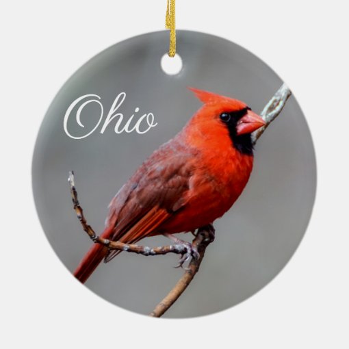 Cardinal Ohio Ornament | Zazzle