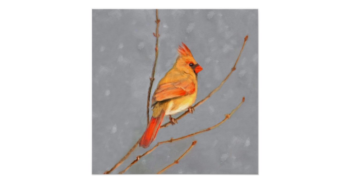 Cardinal on Branch Painting - Original Bird Art Poster | Zazzle