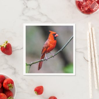 Cardinal Paper Napkin | Zazzle