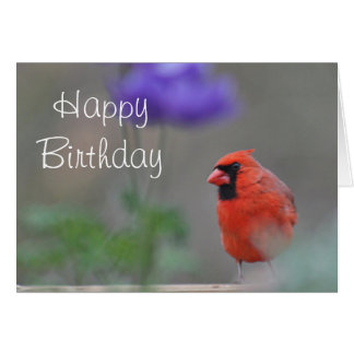 Red Cardinal Birthday Cards - Greeting & Photo Cards | Zazzle