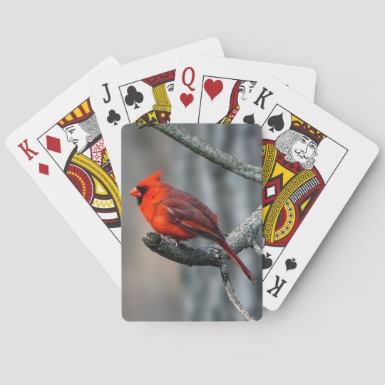 Cardinal Playing Cards | Zazzle.com