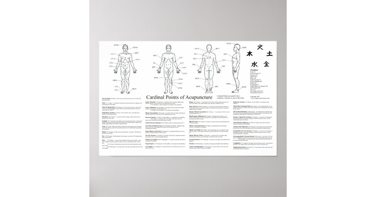 Cardinal Points of Acupuncture Poster | Zazzle