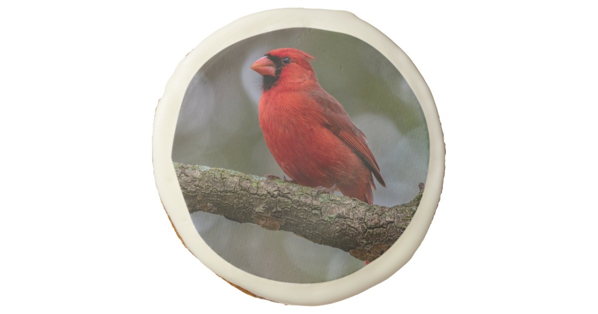 Cardinal Portrait Sugar Cookie | Zazzle