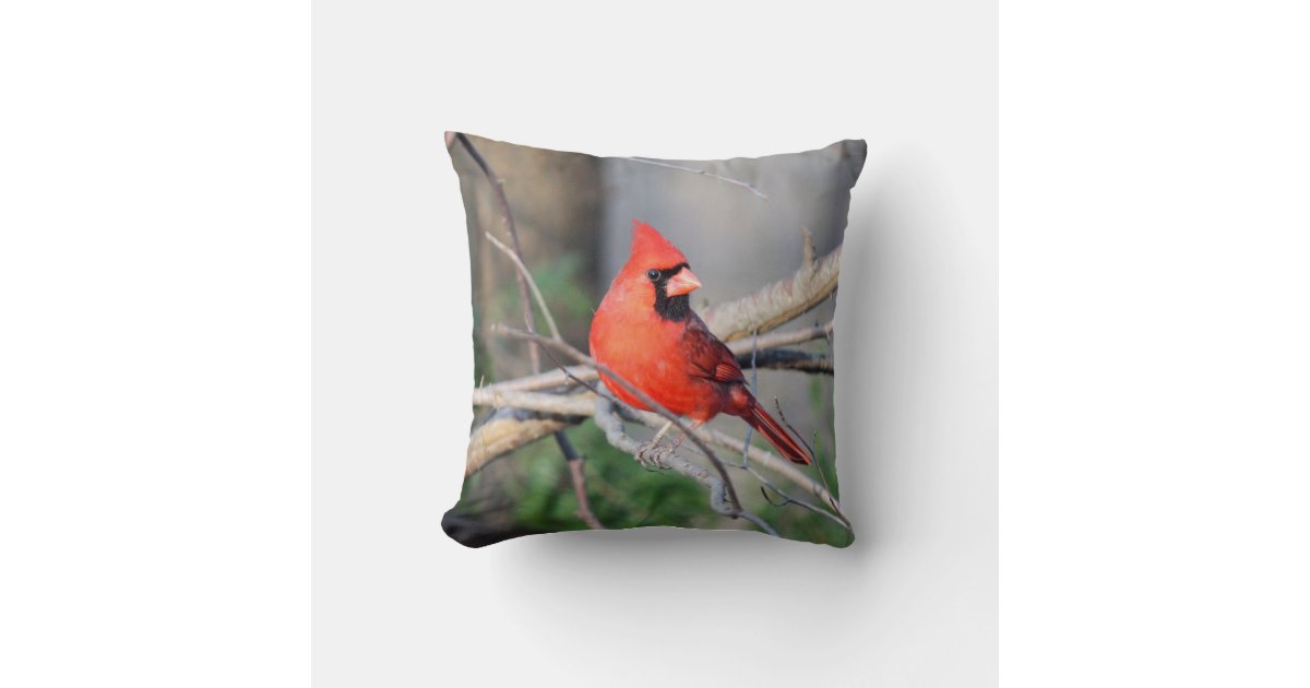 Cardinal Portrait Throw Pillow | Zazzle