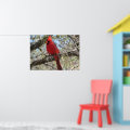 Cardinal Poster | Zazzle