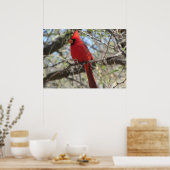 Cardinal Poster | Zazzle