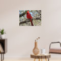 Cardinal Poster | Zazzle
