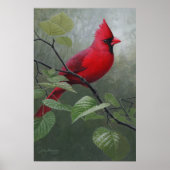 Cardinal Poster | Zazzle