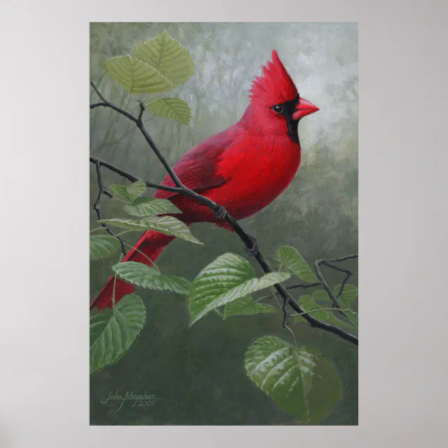Cardinal Poster | Zazzle
