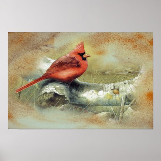 Cardinal Poster | Zazzle.com