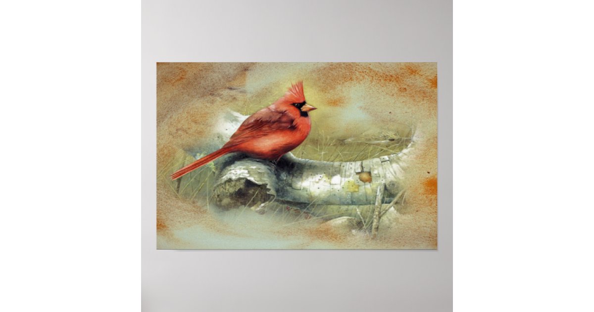 Cardinal Poster | Zazzle