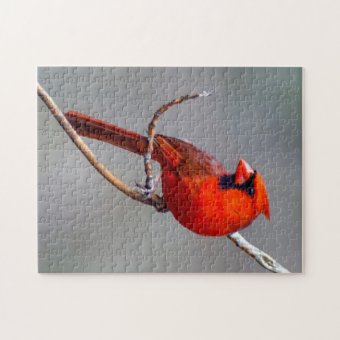 Cardinal Puzzle | Zazzle