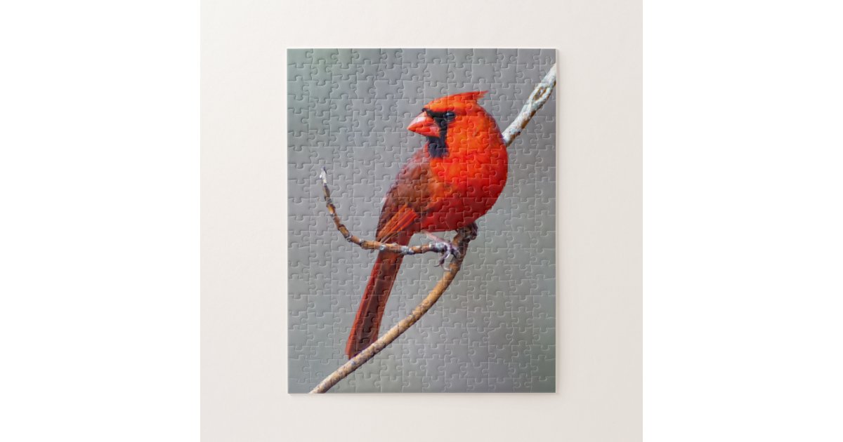 Cardinal Puzzle | Zazzle