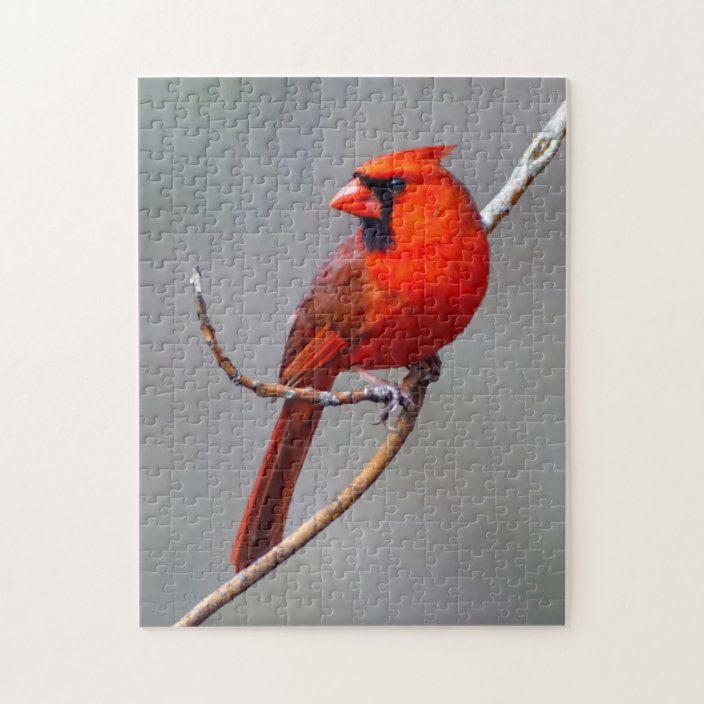 Cardinal Puzzle | Zazzle.com