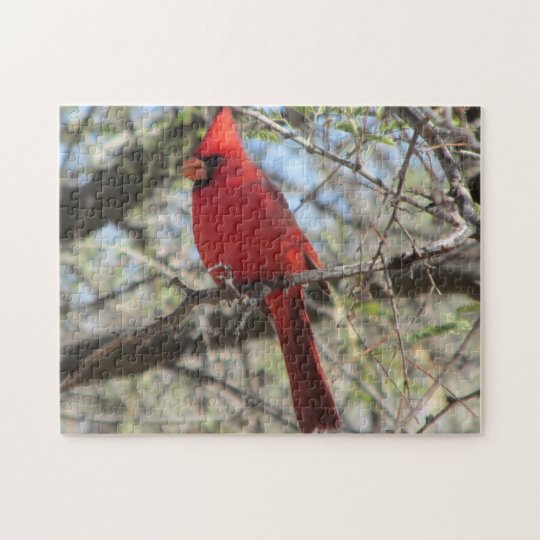 Cardinal Puzzle | Zazzle.com