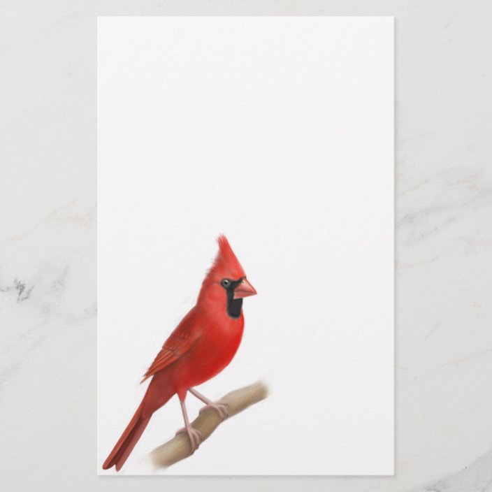 Cardinal Red Bird Male Stationery | Zazzle.com