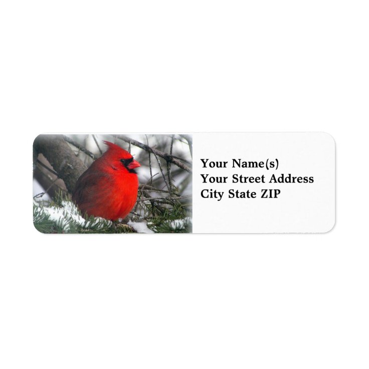 Cardinal Return Address Label | Zazzle