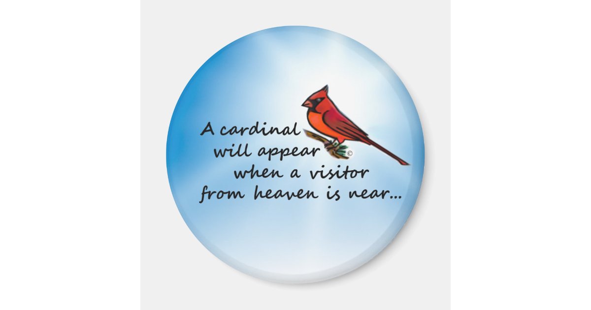 Cardinal, Visitor from Heaven Magnet | Zazzle