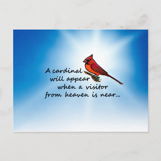 Cardinal, Visitor from Heaven Postcard | Zazzle