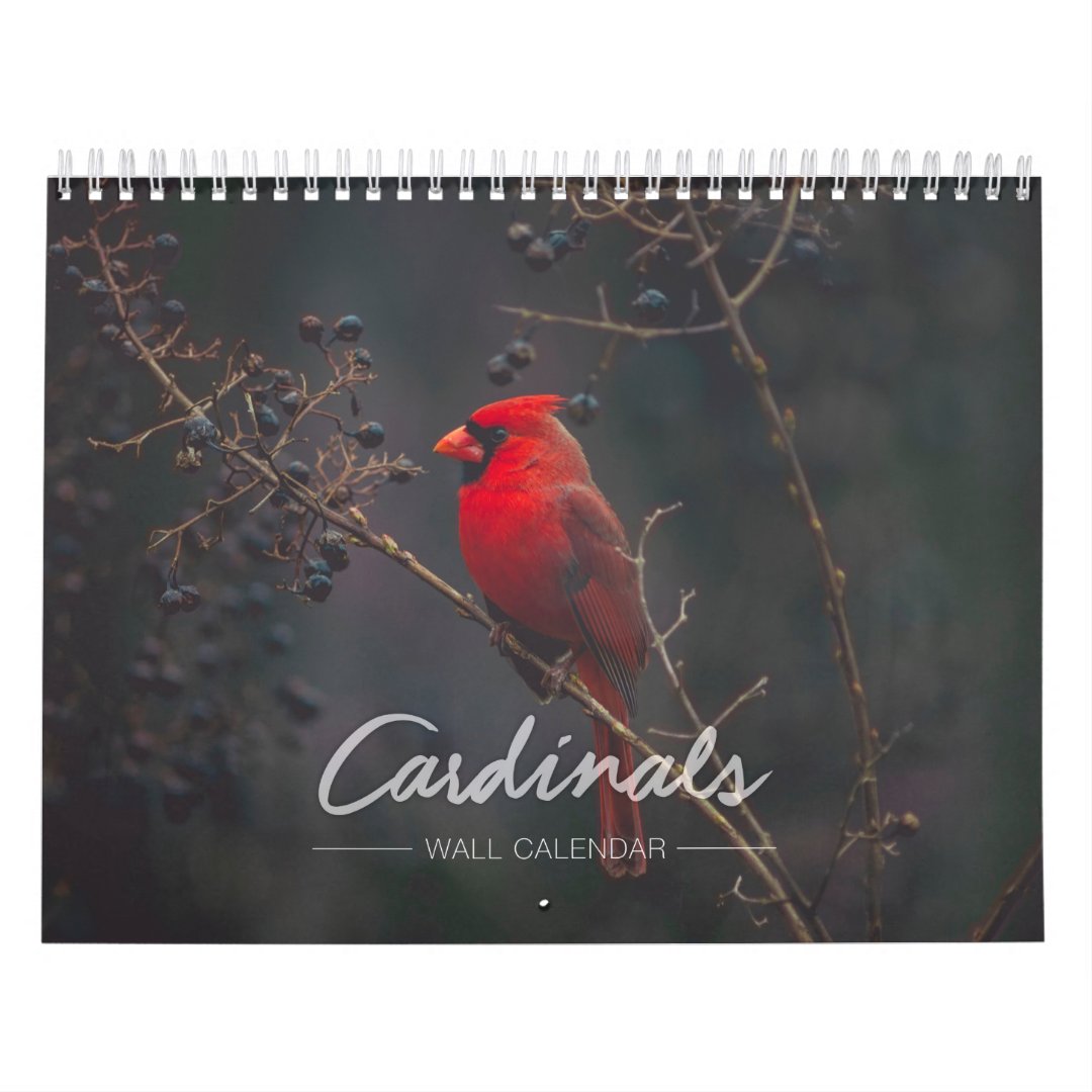 Cardinal Wall Calendar | Zazzle