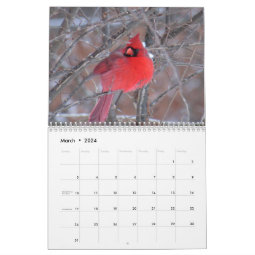Cardinal Wall Calendar | Zazzle